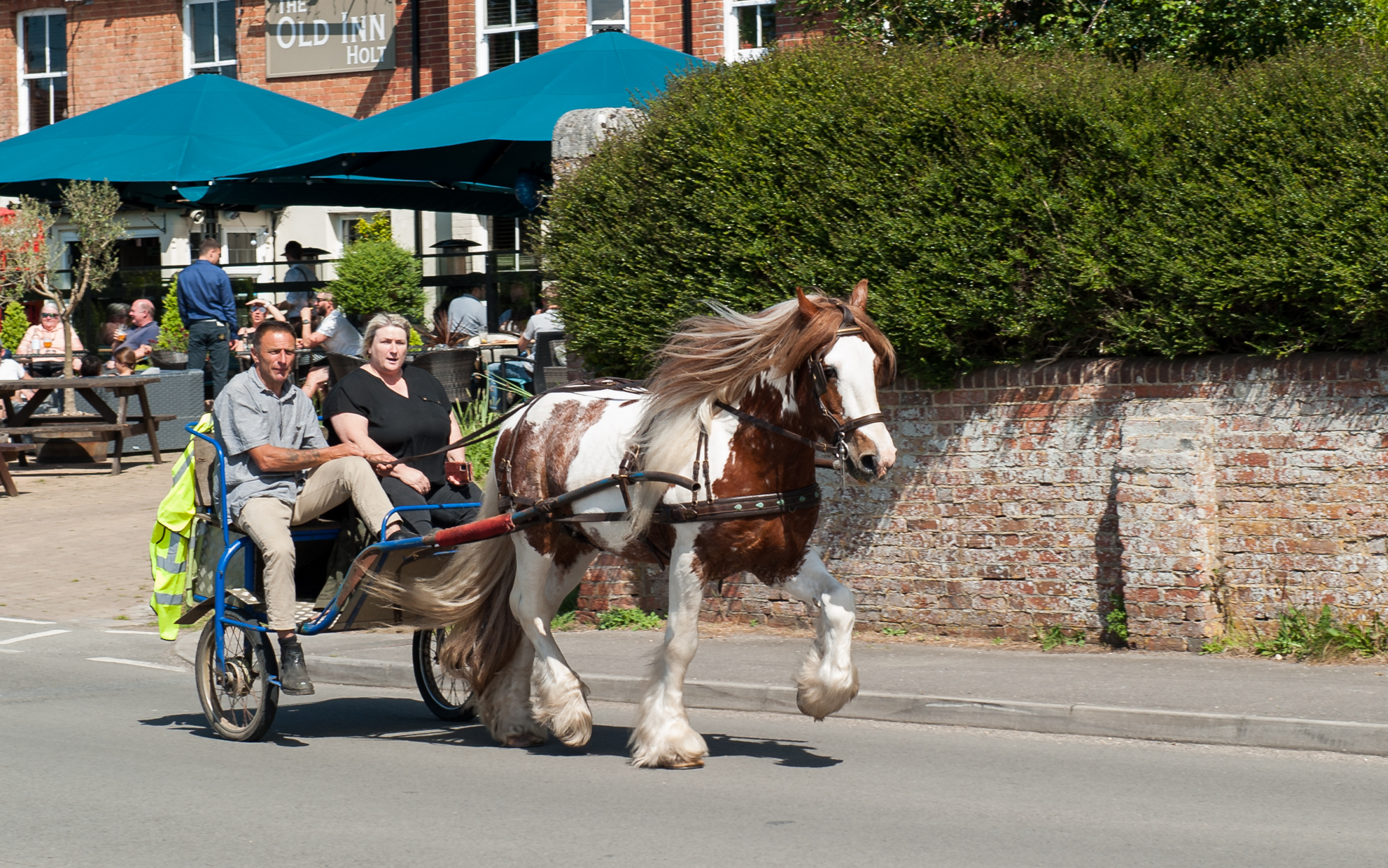 Gallery – Holt Village Hall